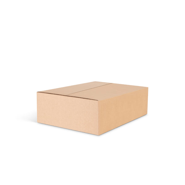 21" x 15" x 6" Cardboard Shipping Box in a Bundle of 25 Units - City B